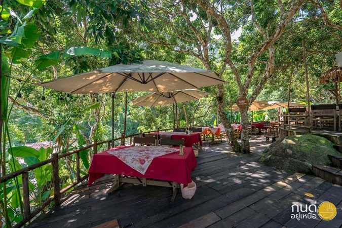 คาเฟ่ริมน้ำกลางป่าสุดชิลล์ หนีไปให้ธรรมชาติโอบกอด ที่ Stay Wild & Cafe ...