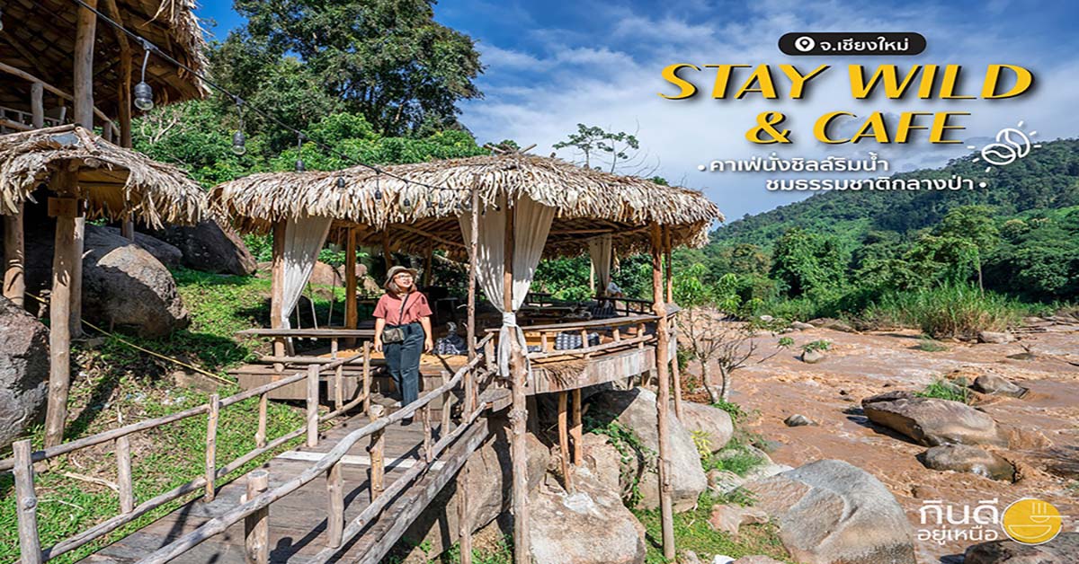 คาเฟ่ริมน้ำกลางป่าสุดชิลล์ หนีไปให้ธรรมชาติโอบกอด ที่ Stay Wild & Cafe ...
