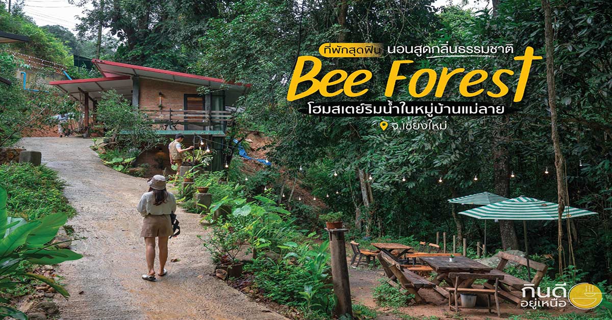 หนีไปพักผ่อนนอนริมลำธาร ให้ธรรมชาติเยียวยากับโฮมสเตย์ริมน้ำ Bee Forest