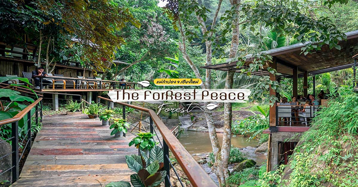 นั่งริมธาร ฟังเสียงน้ำตก ที่คาเฟ่และร้านอาหาร The ForRest Peace Forest ...