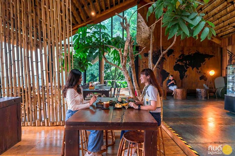 Yayo Farm เชียงราย คาเฟ่กลางสายหมอกบนดอยช้าง สวรรค์ของคนรักกาแฟ - กินดีอยู่เหนือ