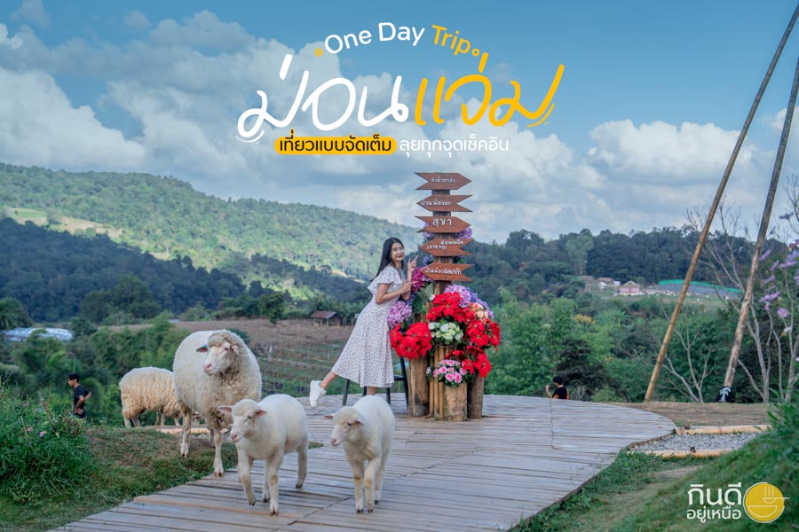 One Day Trip ม่อนแจ่ม เที่ยวแบบจัดเต็ม ลุยทุกจุดเช็คอิน